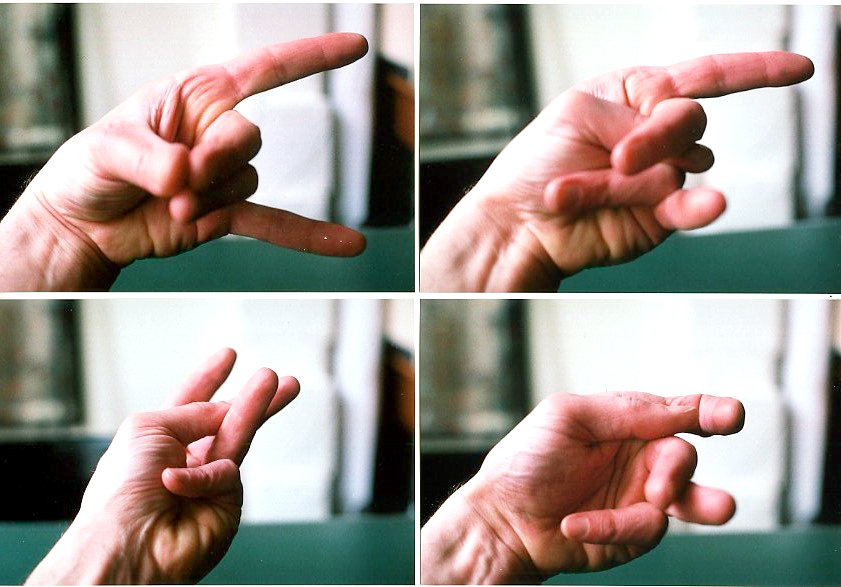Hand compositions – Gorik Lindemans